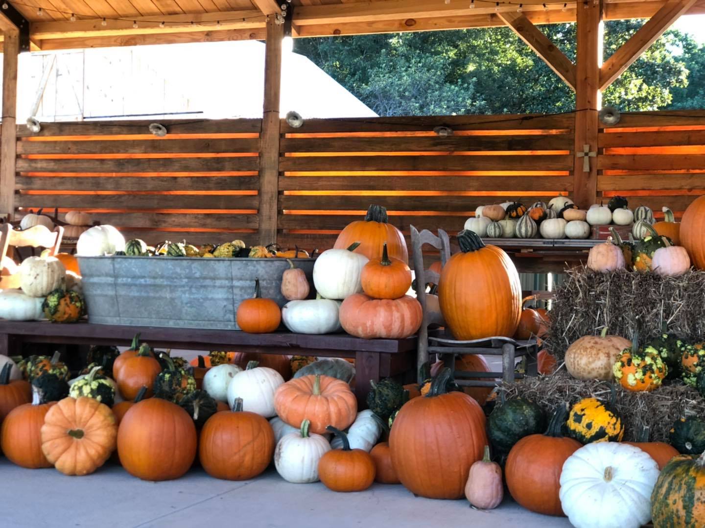 Smith's Family Fun Farm - Pumpkin Patch Near Me