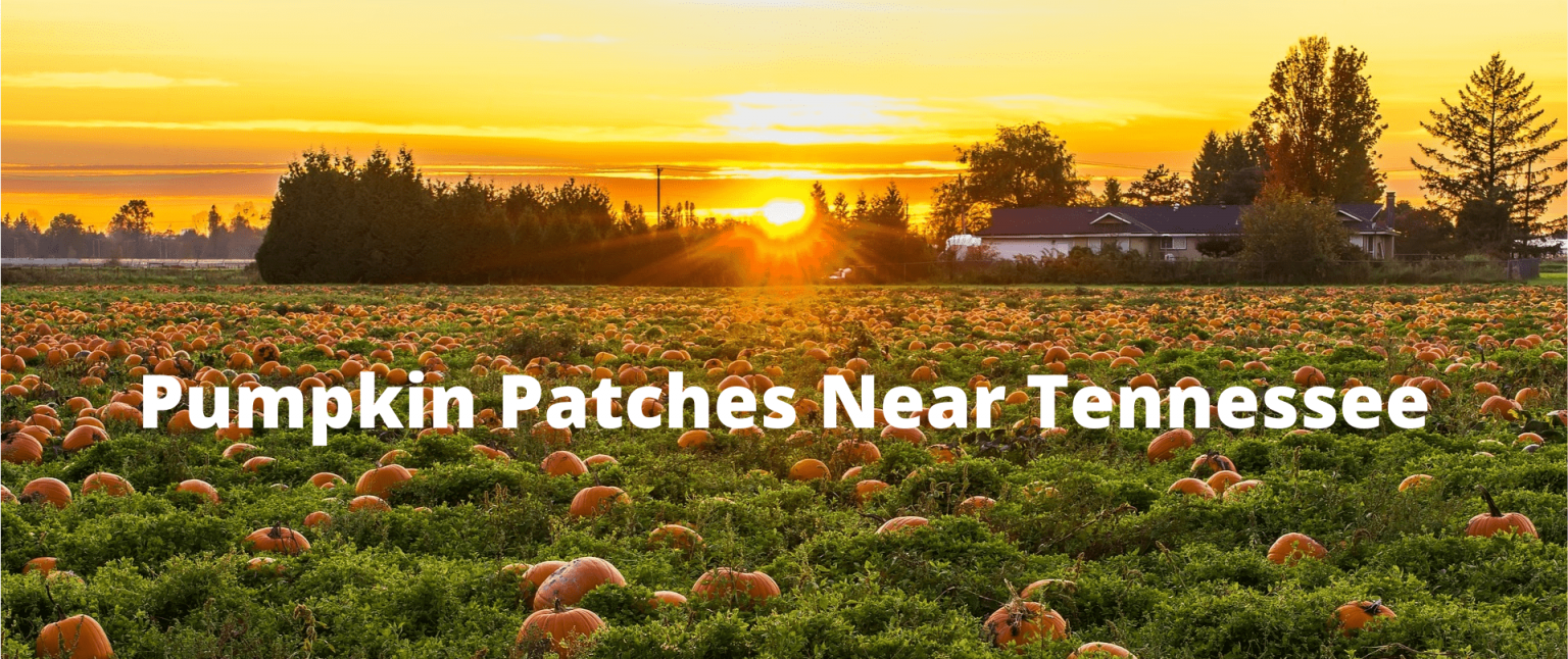 Tennessee - Pumpkin Patch Near Me